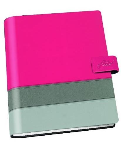 OBR.13,217 MAPA AKTA Z VPENJALOM A4, LINIJA ALTER 2FC00013 magenta ...